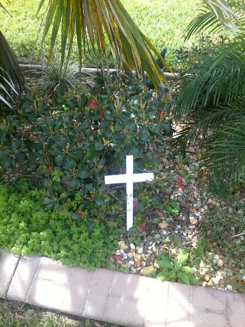 Why do we see small white crosses in front yards in The Villages ...