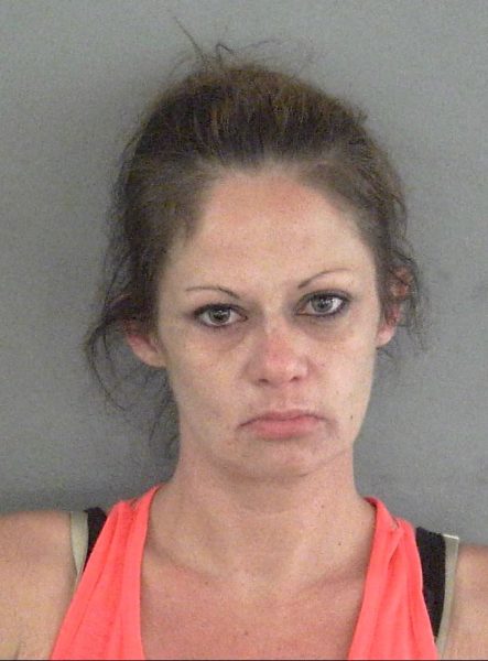 Suspected shoplifter arrested after attempting to overpower two loss ...