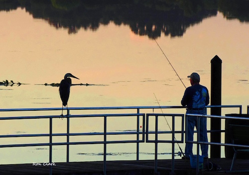 Sunrise fishing buddies at Lake Miona in The Villages - Villages-News.com