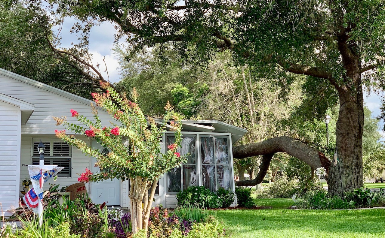 Falling tree crashes into Florida room at home in The Villages ...