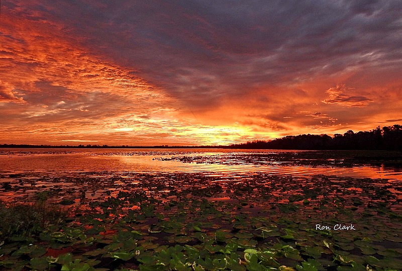 Sunrise at Lake Deaton - Villages-News.com