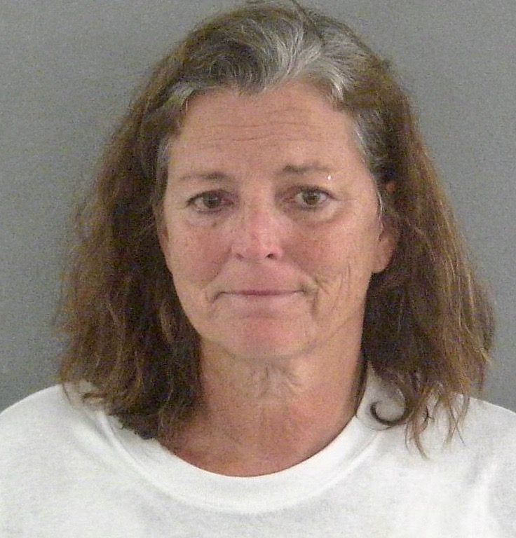 Fenney woman arrested on DUI charge after stopping golf cart for pee ...