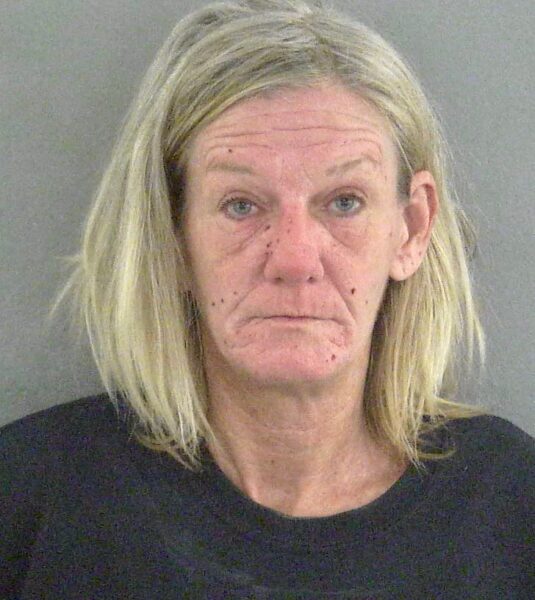 Woman jailed after failing to show up in court after arrest at McDonald ...