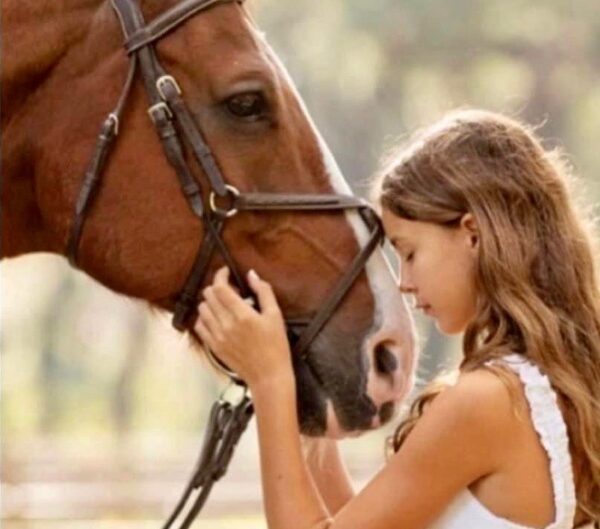 Details released in accident that claimed life of rising equestrian ...