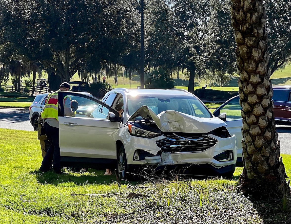 Driver transported by ambulance after crashing into palm tree in The ...