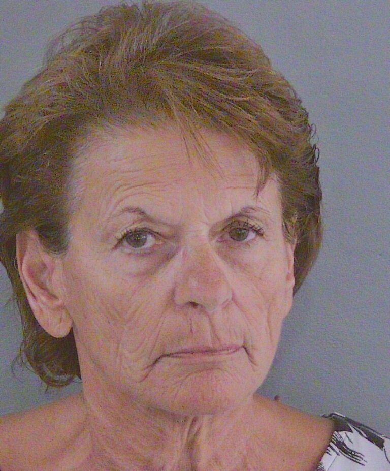 Villager arrested at courthouse in aftermath of neighborhood brawl ...