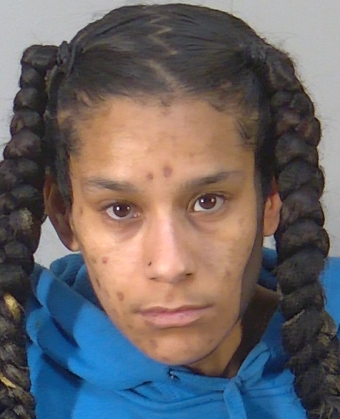 Serial shoplifter from New York sentenced in heists at Target and ...