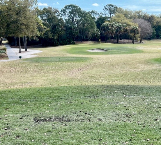 Golf division seeks $4.56 million for course improvement projects ...