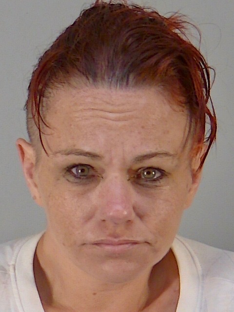 Shoplifting suspect nabbed with stolen clothing and diapers at Target ...
