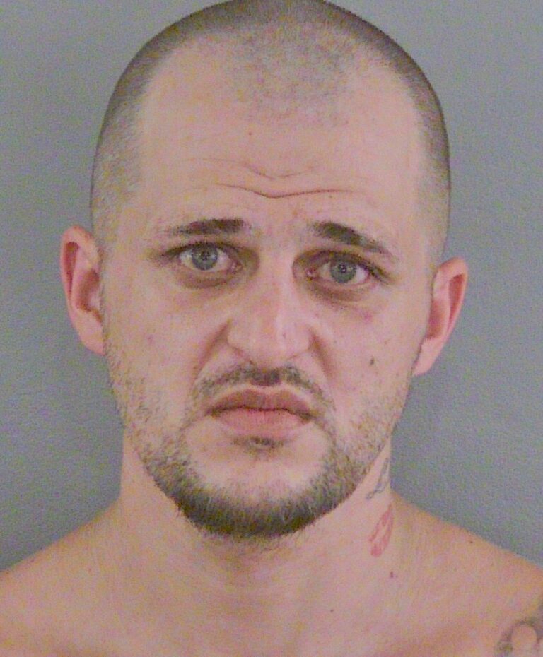 Deputies arrest convicted felon in Lexus with stun gun - Villages-News.com