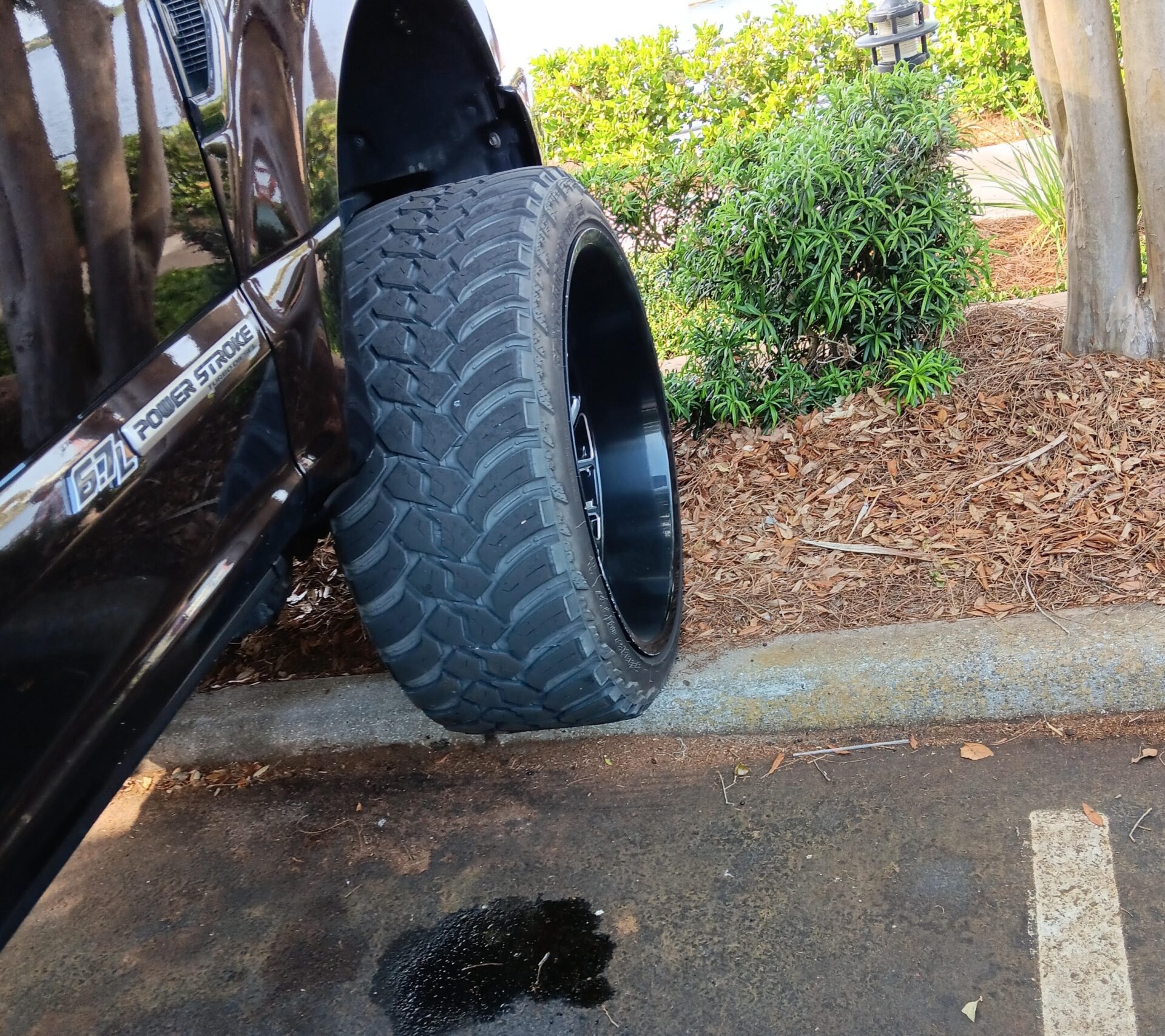 Monster Truck tops the curb in parking job at Lake Sumter Landing ...