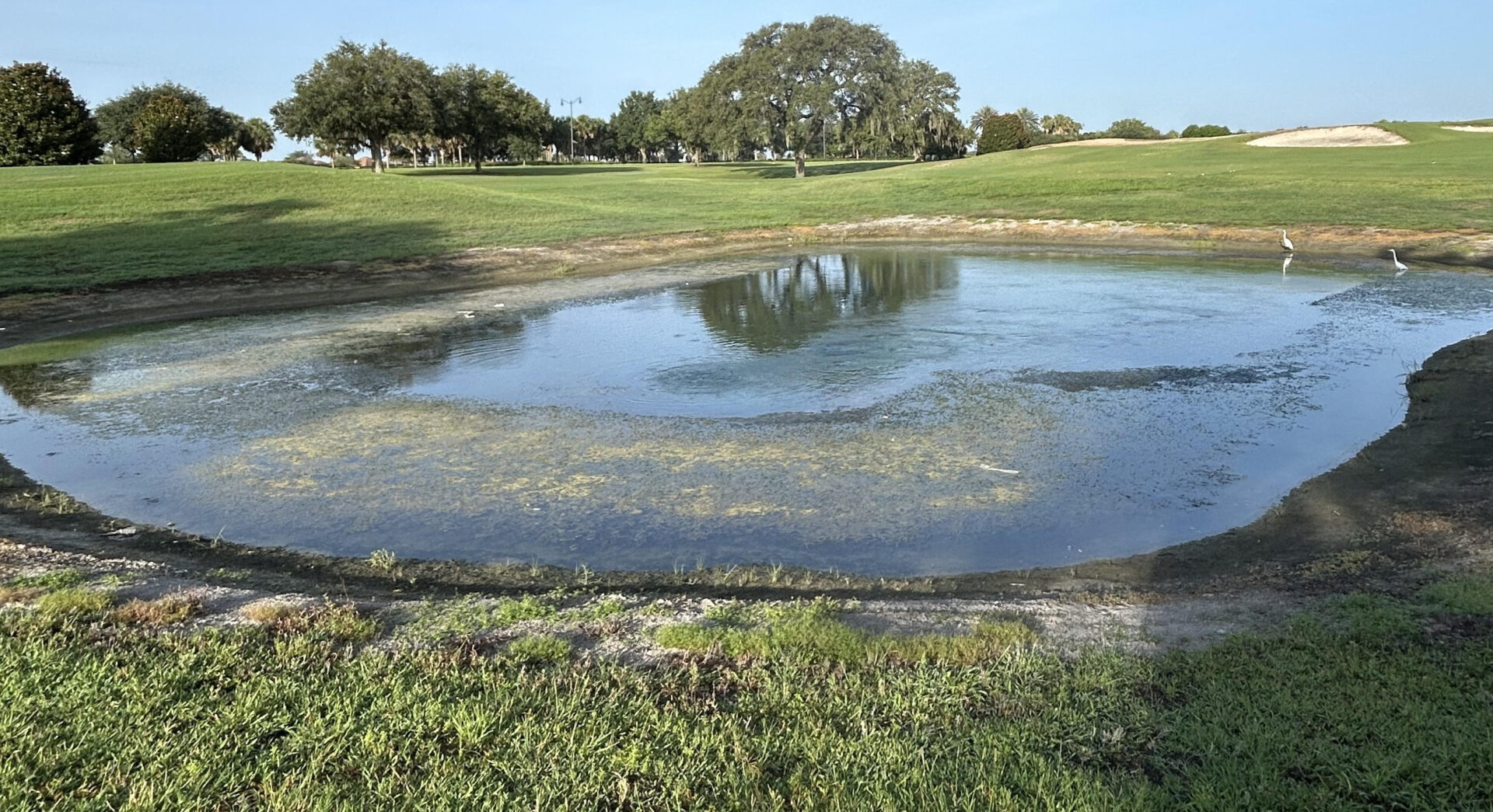 Old Man Morse would be horrified at condition of the ponds - Villages ...