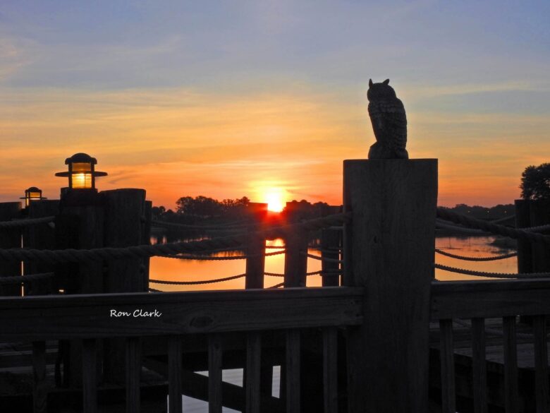 Beautiful sunrise from the boardwalk at Lake Sumter Landing - Villages ...