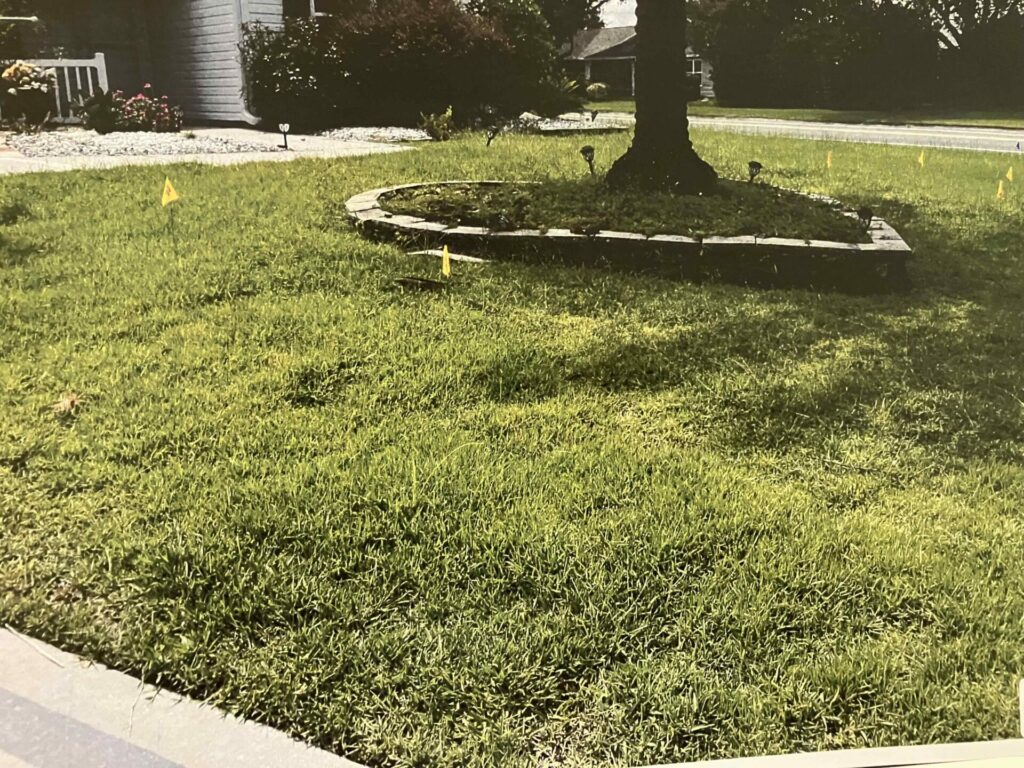 Seasonal resident in trouble again for lack of lawn maintenance ...