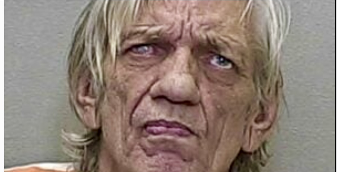 Man allegedly punches housemate during argument over drug dealers on ...