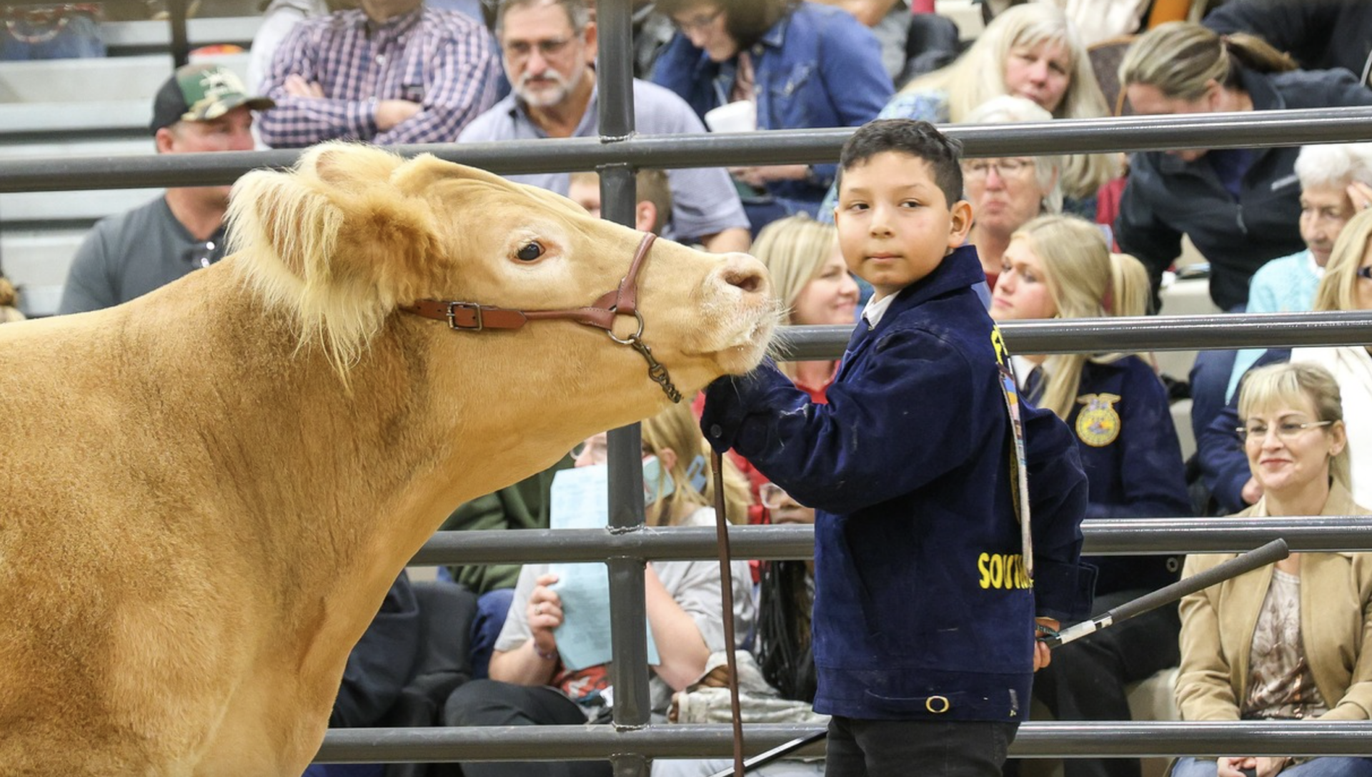 Sumter County Fair will offer 10 days of family-friendly fun - Villages ...