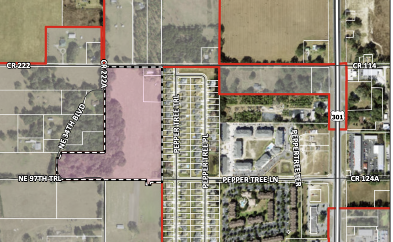 41 live oak trees to be removed for 117-home subdivision in Wildwood ...