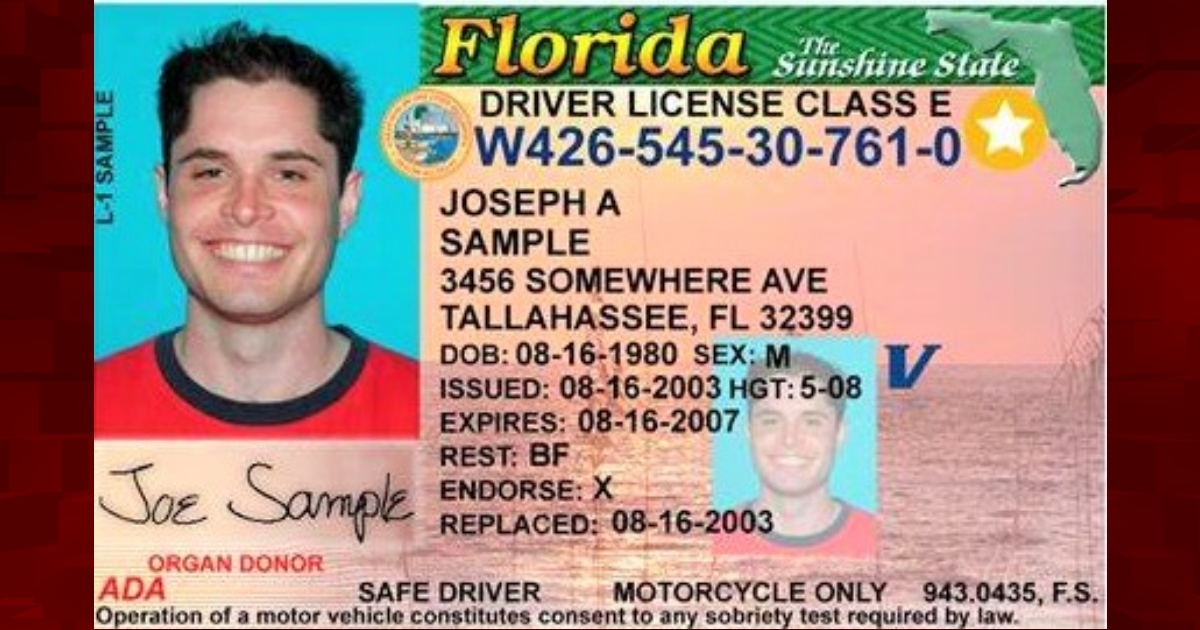 Florida Extends Driver s Licenses And ID Cards Expiring In 30 Days florida-extends-driver-s-licenses-and-id-cards-expiring-in-30-days