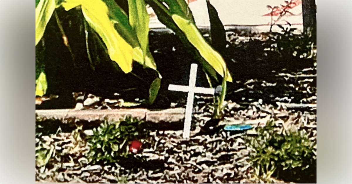 What is the message of the little white cross? - Villages-News.com