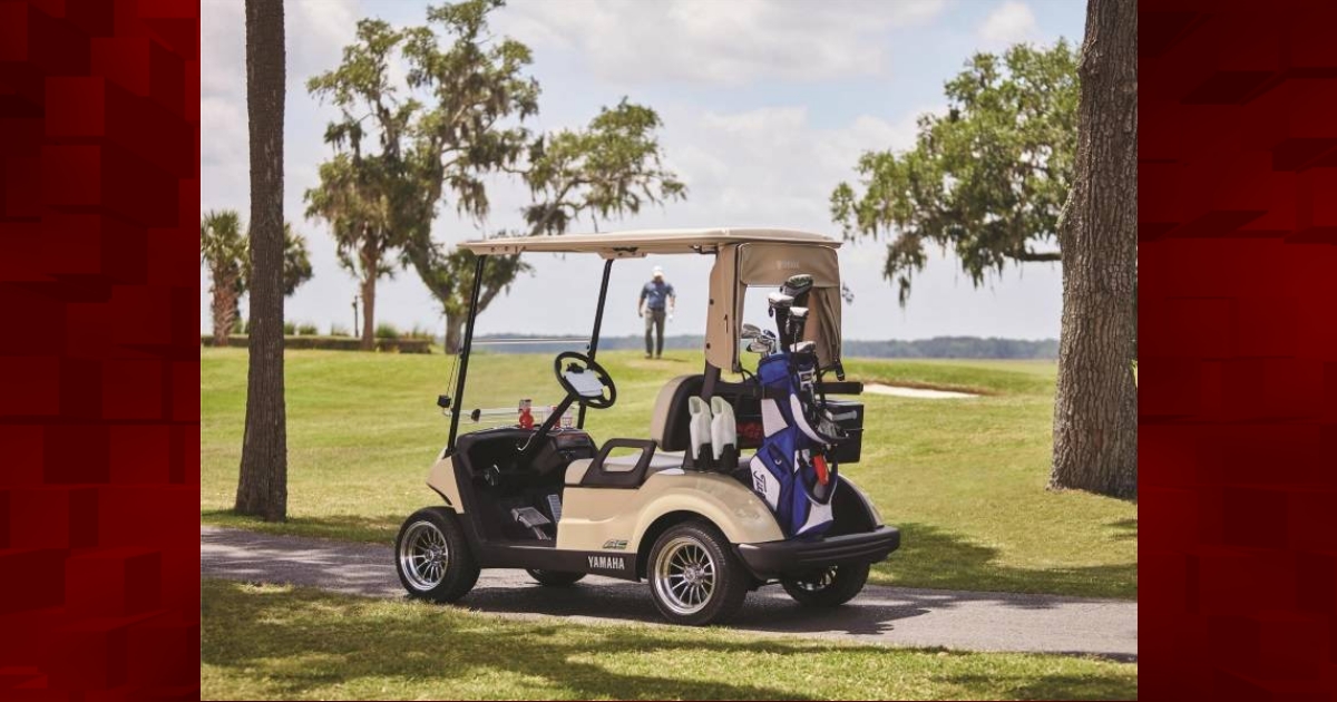 Police catch homeless man trying to ‘repossess’ Villager’s golf cart ...