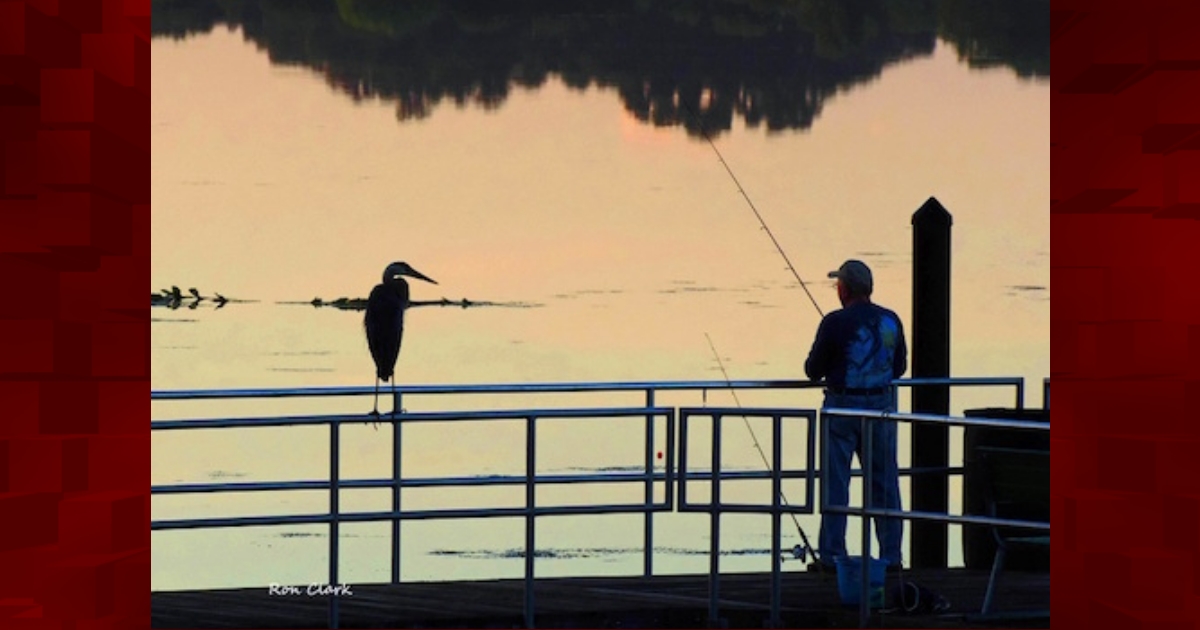 Sunrise fishing buddies at Lake Miona in The Villages - Villages-News.com