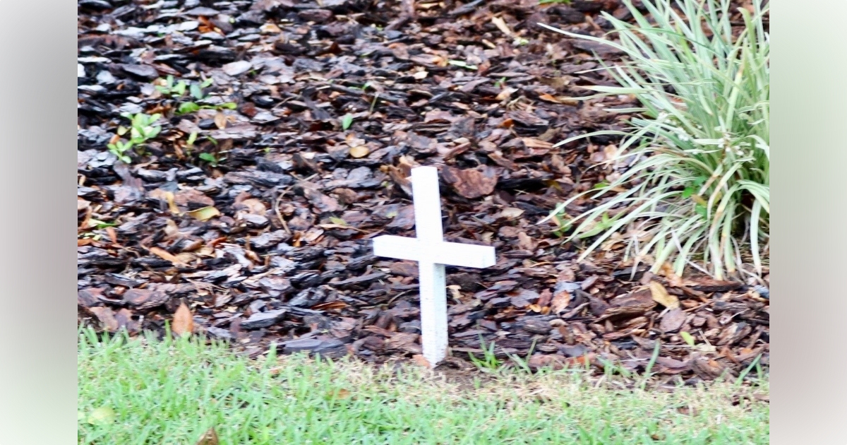 The little white cross can divide and conquer - Villages-News.com