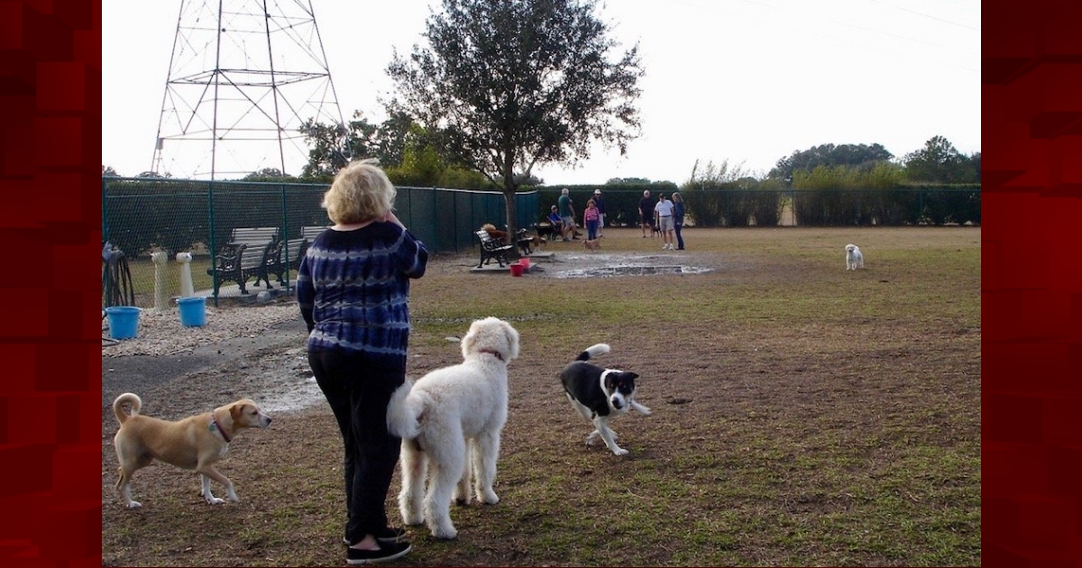 AAC agrees to spend $130,000 for shade structure at dog park - Villages ...